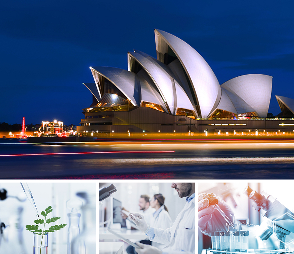 PHROMON日本公式サイト