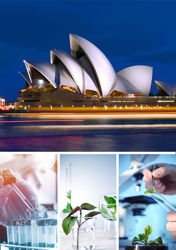 PHROMON日本公式サイト