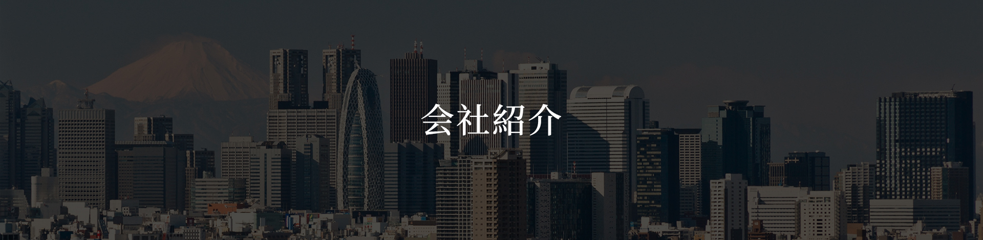 PHROMON日本公式サイト
